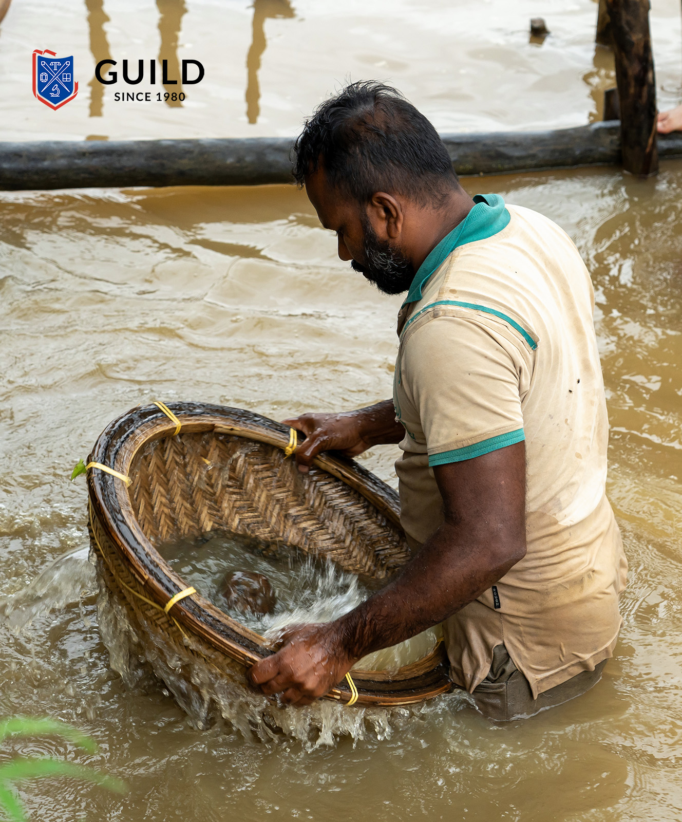 GUILD Gemology Education | Professional Gemology Training